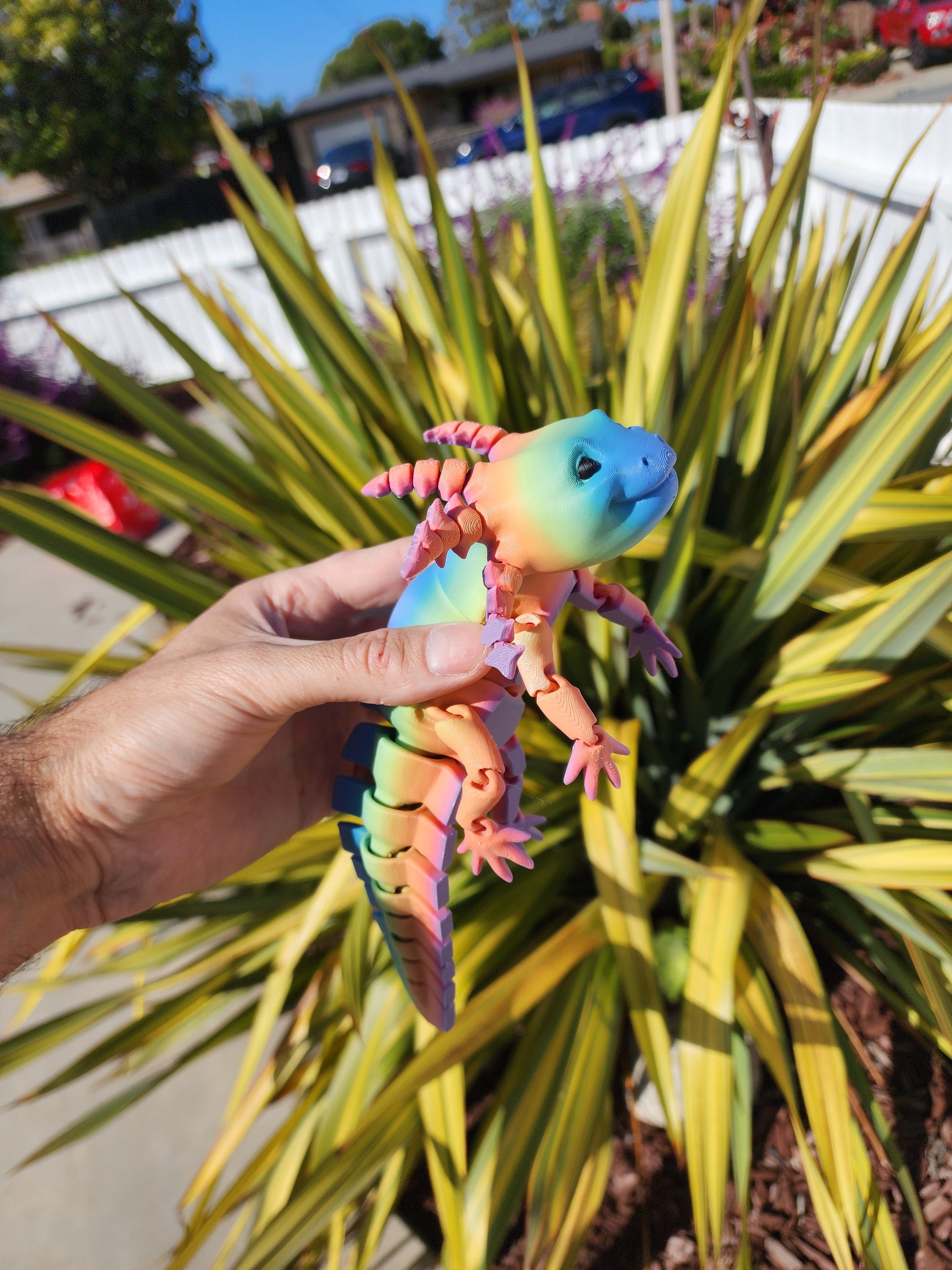 Axolotl Articulated Fidget Toy – Pigeon Print Shop